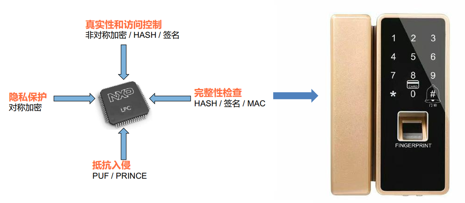 【LPC55 系列】LPC55S69 开发板介绍 - 大大通(简体站)