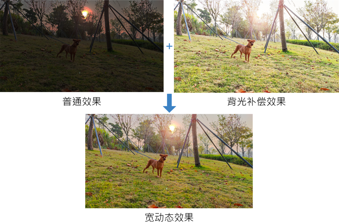 SOI JX-K302P图像传感器简介 - 大大通(简体站)